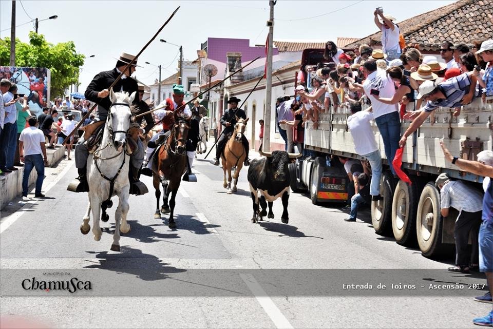 Chamusca | Cartaz da Ascensão promete nove dias de festa | Médio Tejo