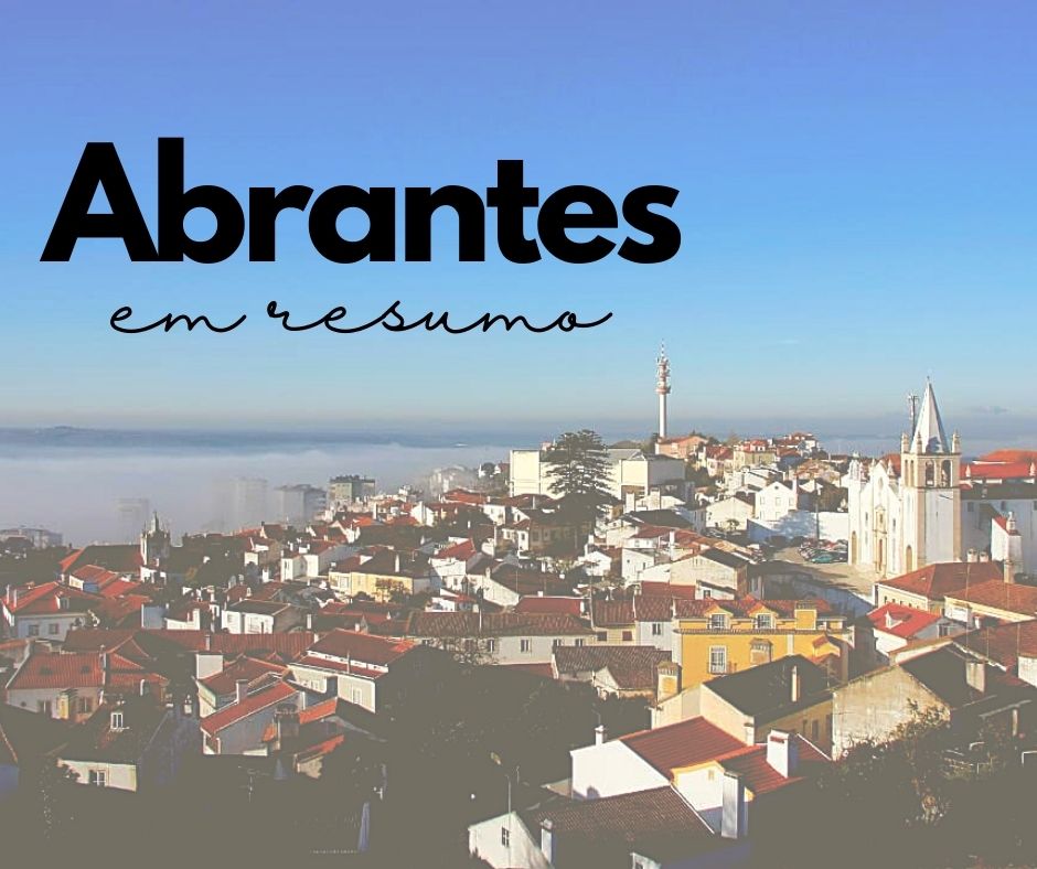 Abrantes | Os dados estatísticos e as linhas da História que descrevem ...