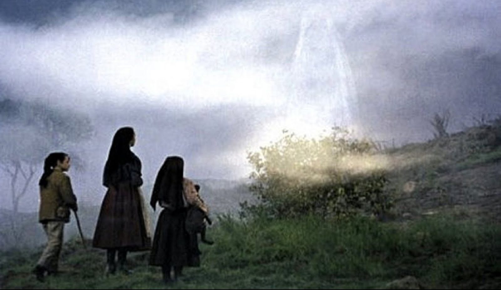 O misterioso roubo da azinheira das Aparições de Fátima | Médio Tejo