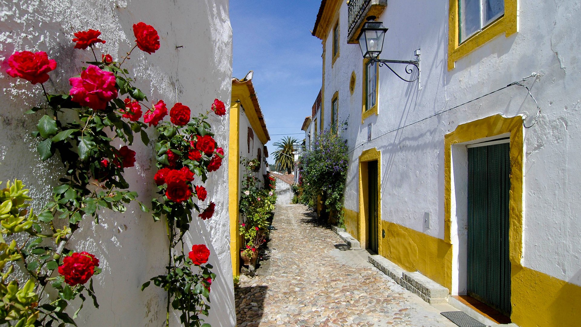 Sardoal celebra Dia da Freguesia com noite de fados | Médio Tejo