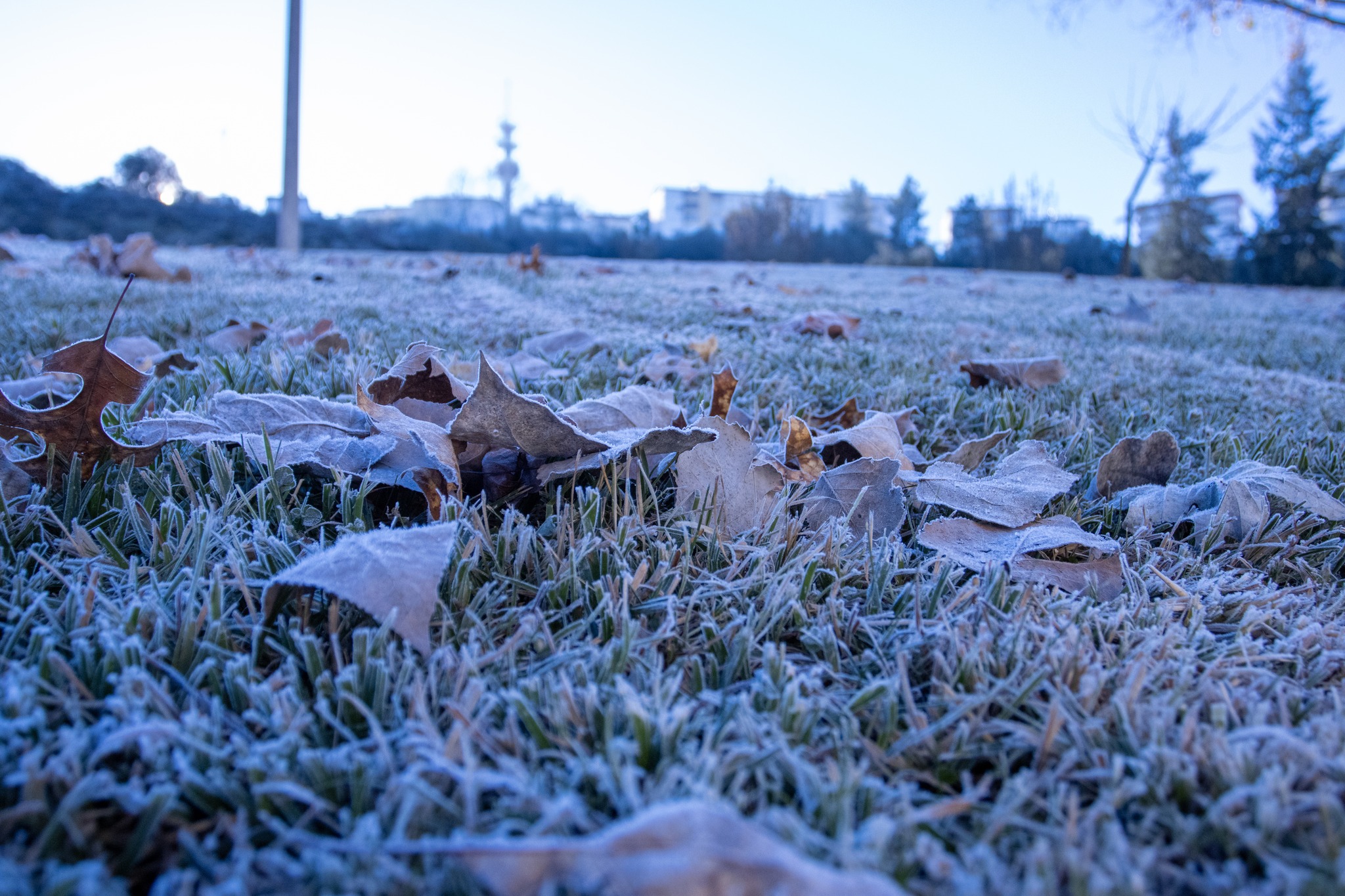 Portugal continental continua sob aviso amarelo devido ao frio | Médio Tejo