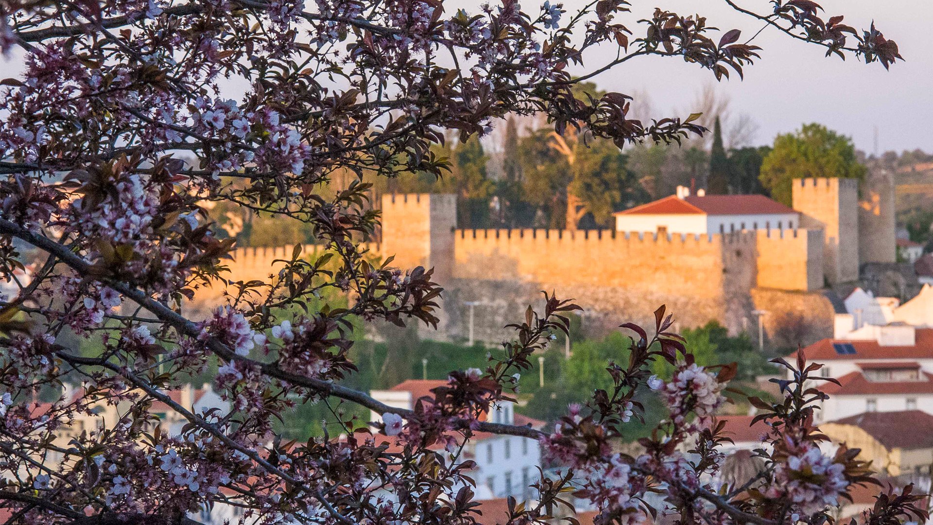 Torres Novas "parte ao encontro" do património religioso da cidade ...