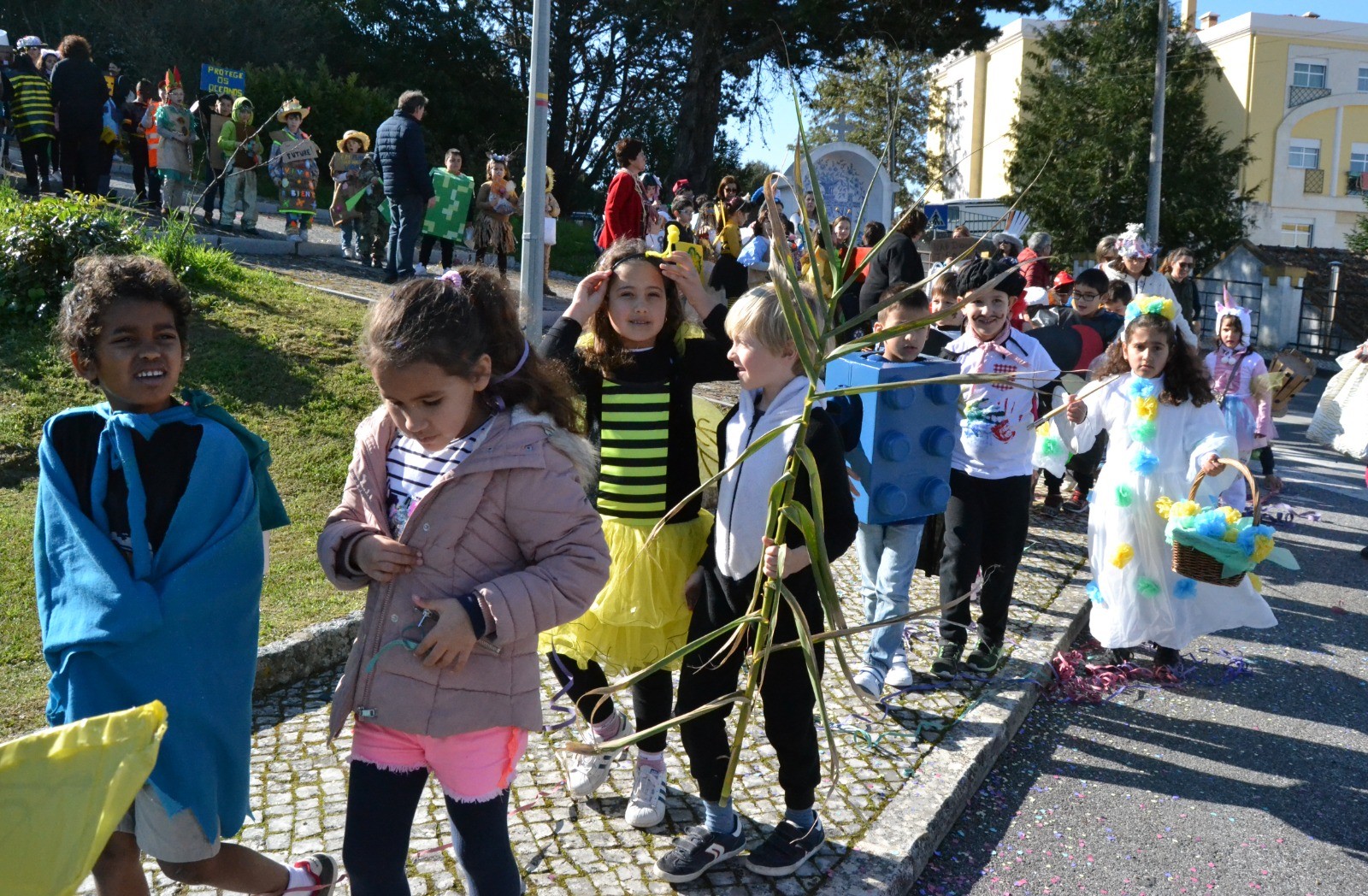 Carnaval anima Mação com desfiles e atividades para todas as idades ...